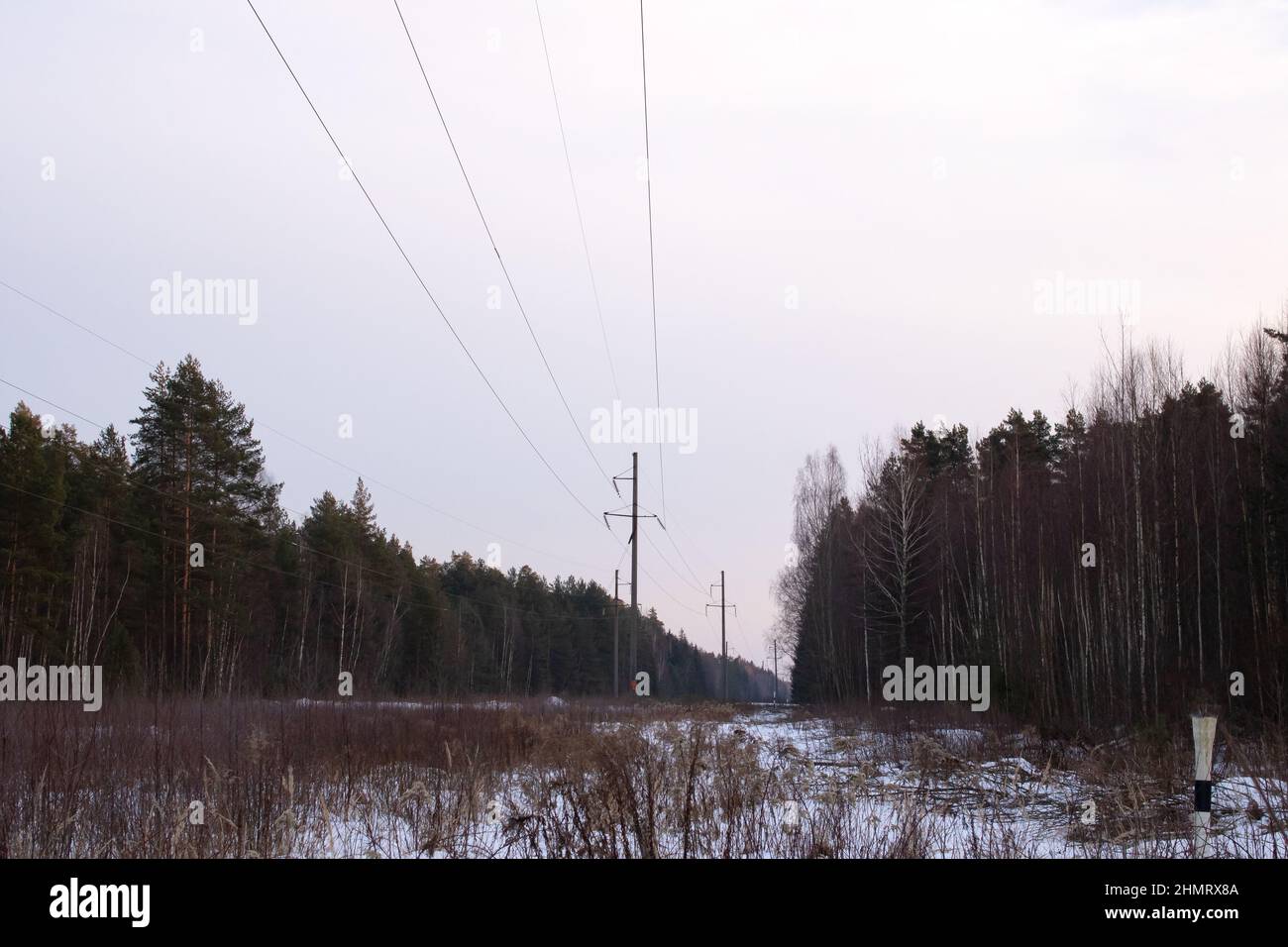 Pillar with electric wires in the forest in winter Stock Photo - Alamy