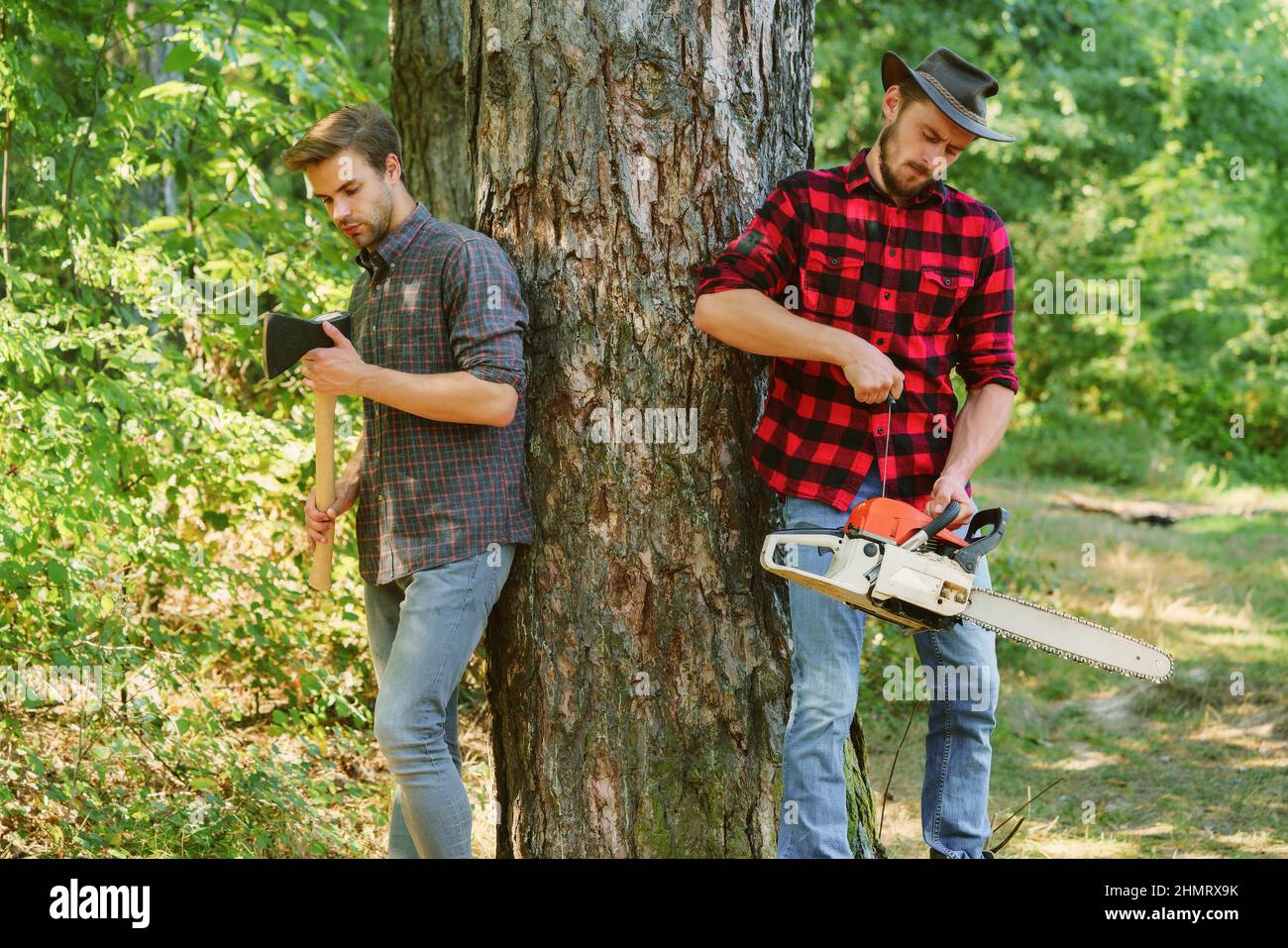 Two men cutting log in forest hi-res stock photography and images - Alamy