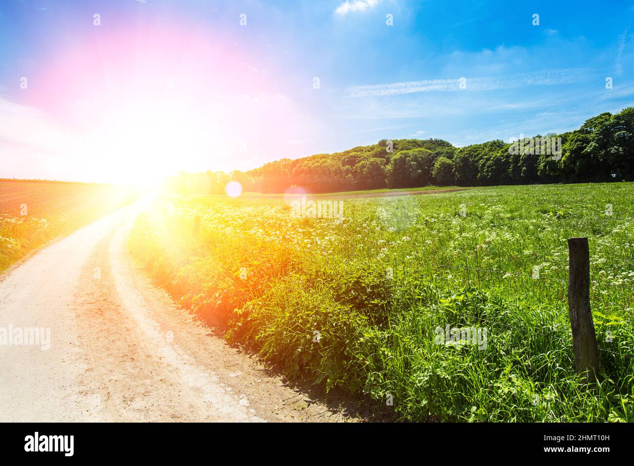 road landscape view with sunlight Stock Photo - Alamy