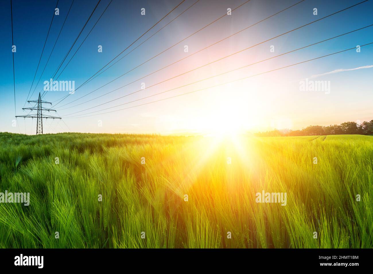 Sun emits explosive over wheat field Stock Photo - Alamy
