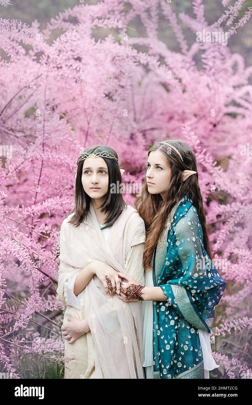 fairy tale girls. Portrait of mystic elven sisters. Cosplay character ...