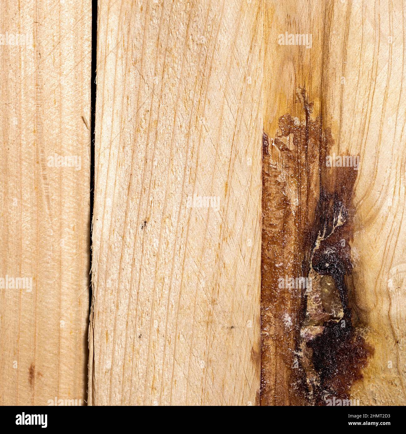 Wood tree board texture pattern Stock Photo - Alamy