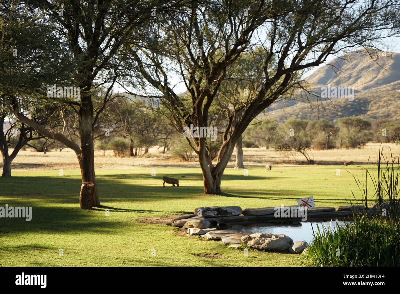 Beautiful African park with wild animals having a rest Stock Photo - Alamy