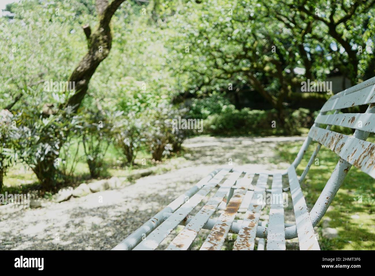 White rusty bench ina beautiful green park Stock Photo - Alamy