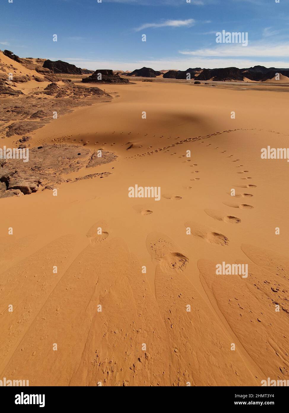 Parallel footprints in a turn path crest of an orange, red colored sand ...