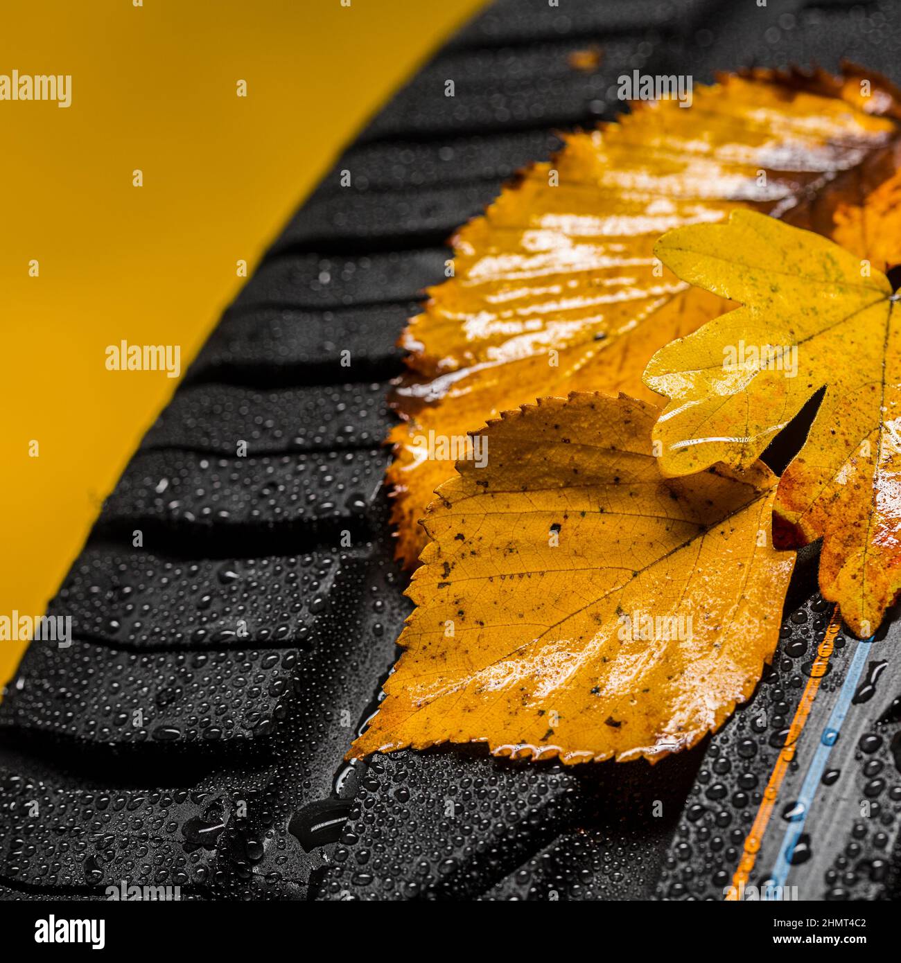 car tire with moist autumn leaves and raindrops Stock Photo - Alamy