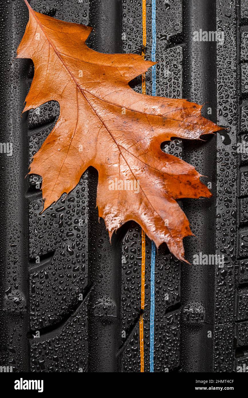 Car tire profile with autumn leaf an rain drops Stock Photo - Alamy