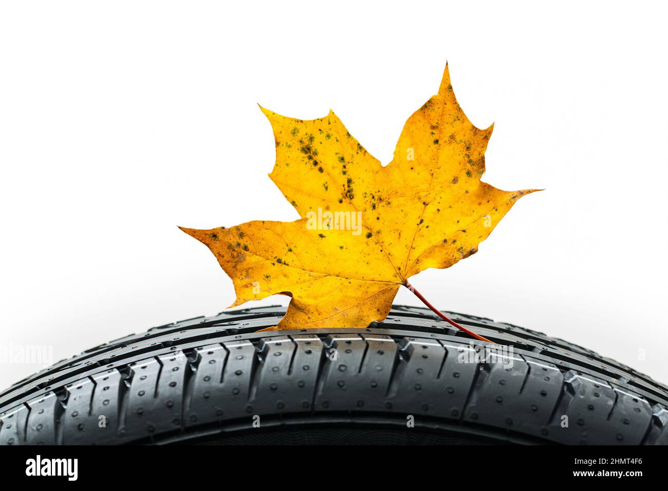 Tire tread leaf hi-res stock photography and images - Alamy