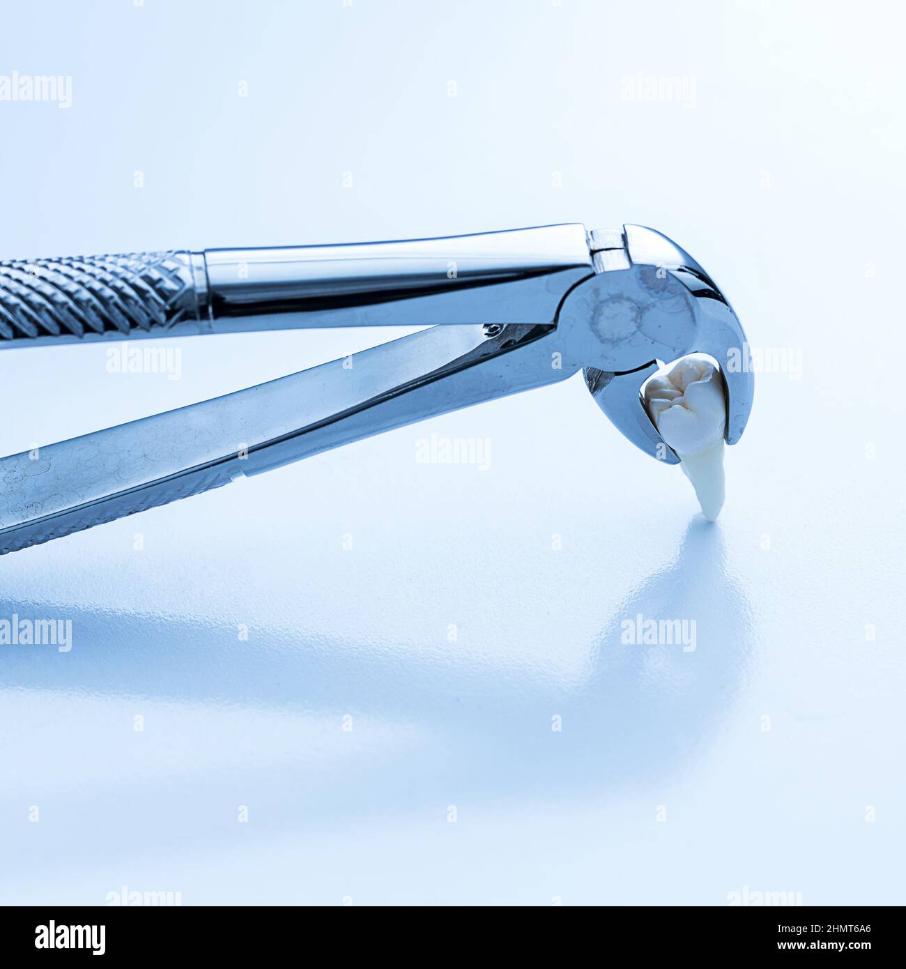 Wisdom tooth forceps by the dentist for dental treatment Stock Photo ...