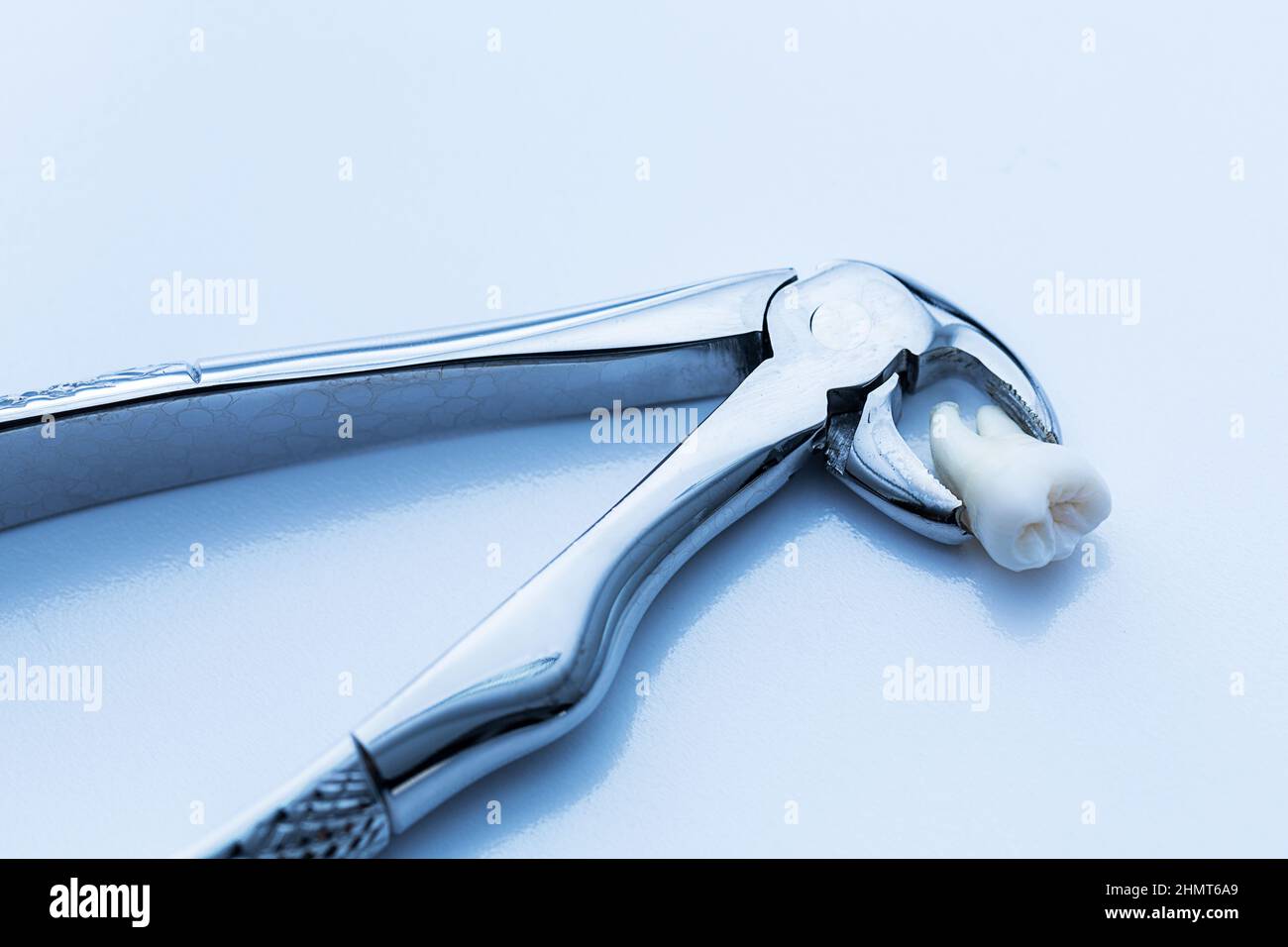 Mandibular wisdom tooth forceps from dentist Stock Photo - Alamy