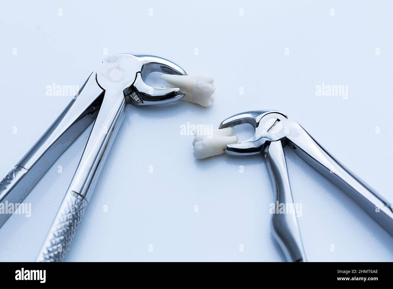Tooth extraction forceps hi-res stock photography and images - Alamy