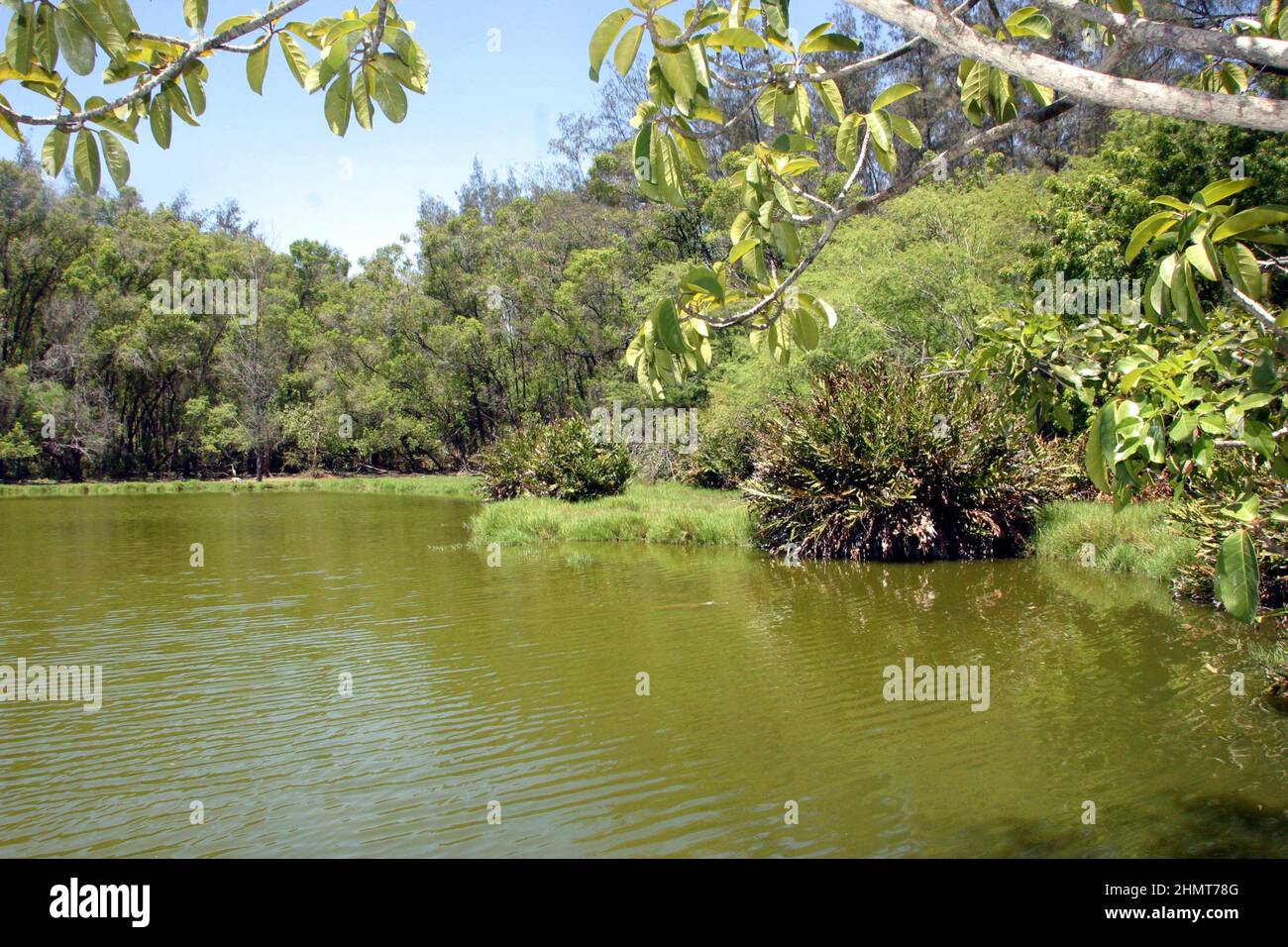 PICTURE SHOWS QUARRY AFTER REHABILITATION INTO ECOLOGICAL PARADISE. THE ...