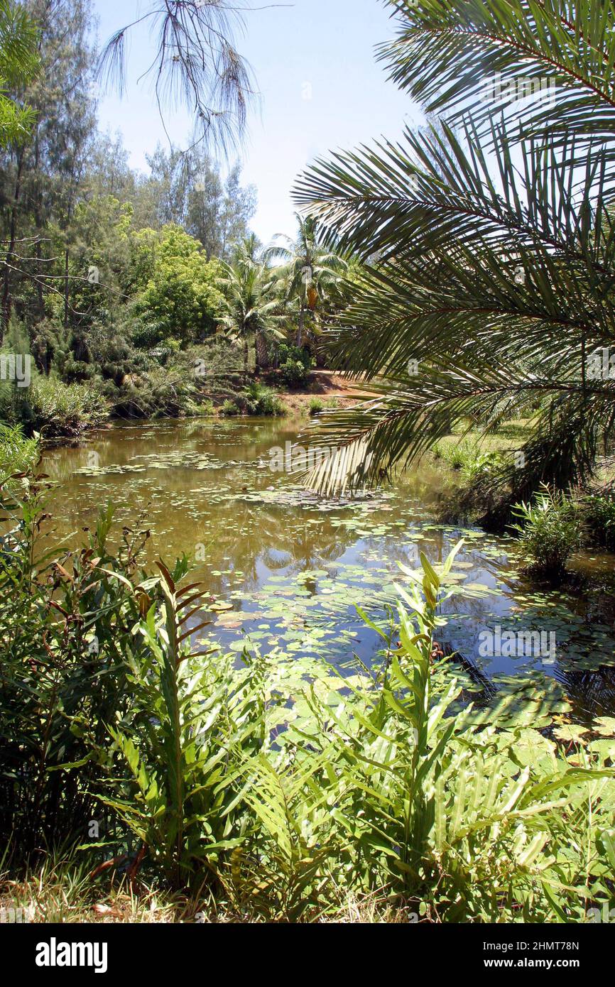 PICTURE SHOWS QUARRY AFTER REHABILITATION INTO ECOLOGICAL PARADISE. THE ...