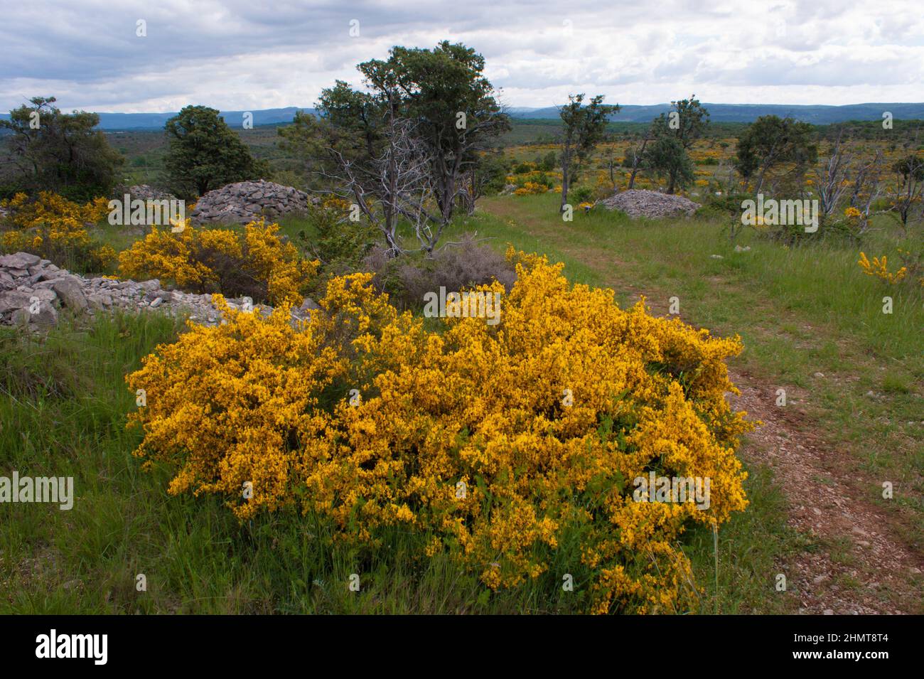 Uzer france hi-res stock photography and images - Alamy