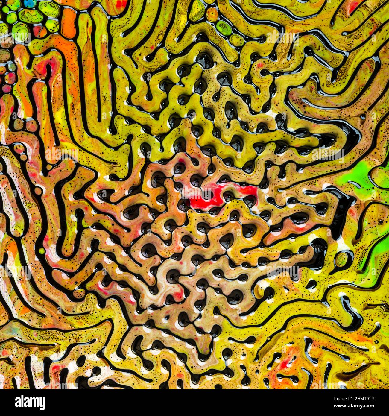 Morph structures hi-res stock photography and images - Alamy