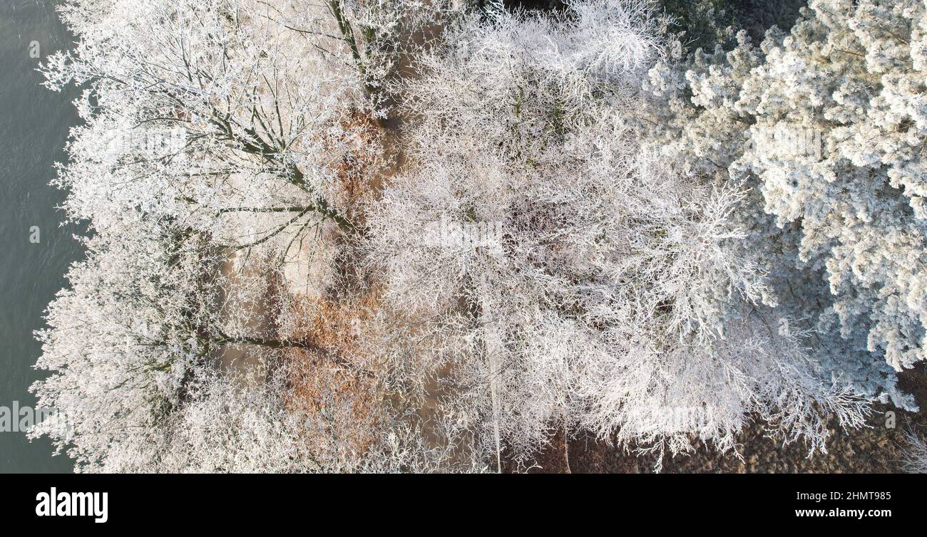 rime ice, Supercooled water droplets freeze on contact on area trees ...