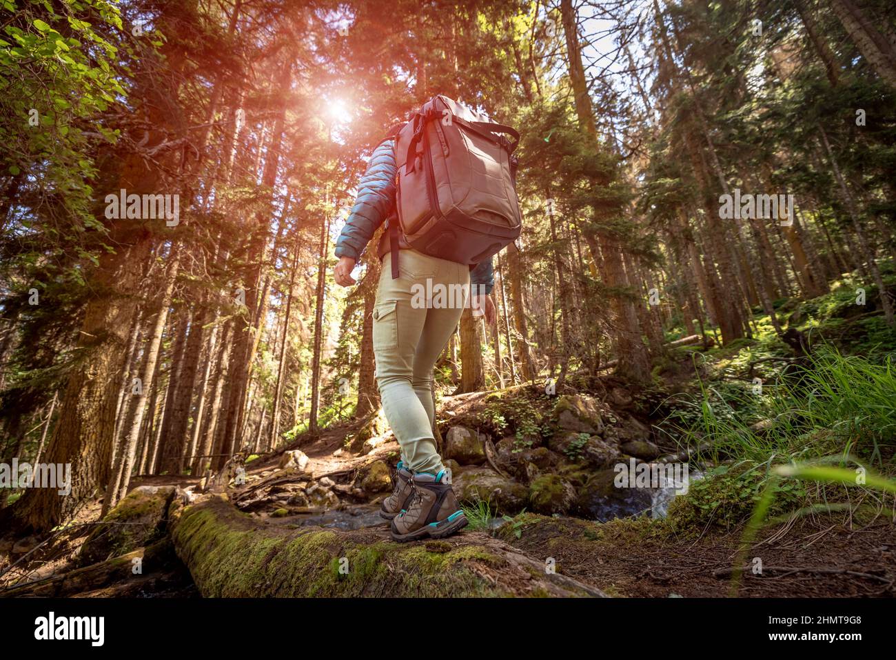 Hiking woman walk with a hiking backpack in spring green forest Stock ...