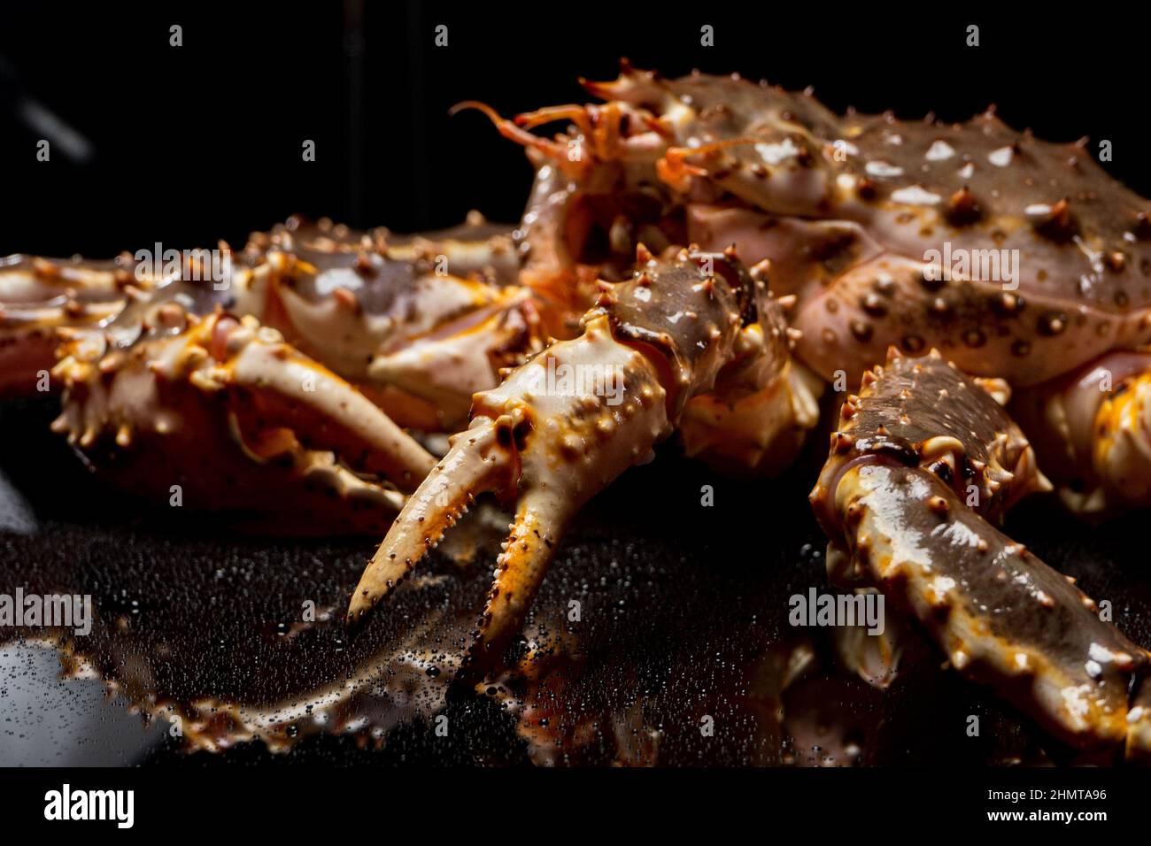Raw live Kamchatka crab Paralithodes camtschatica, isolated on a black ...