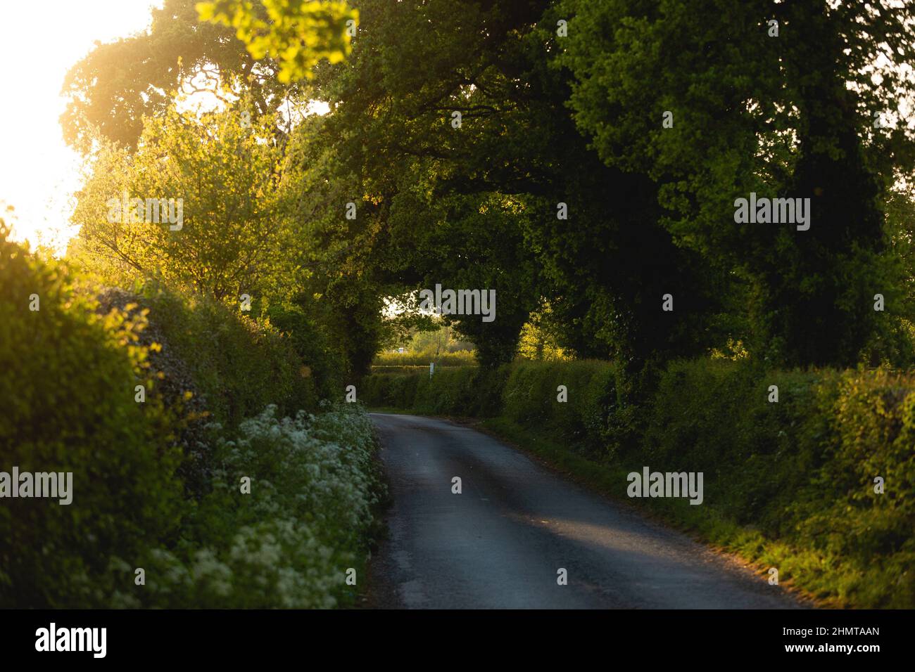 English countryside in may hi-res stock photography and images - Alamy