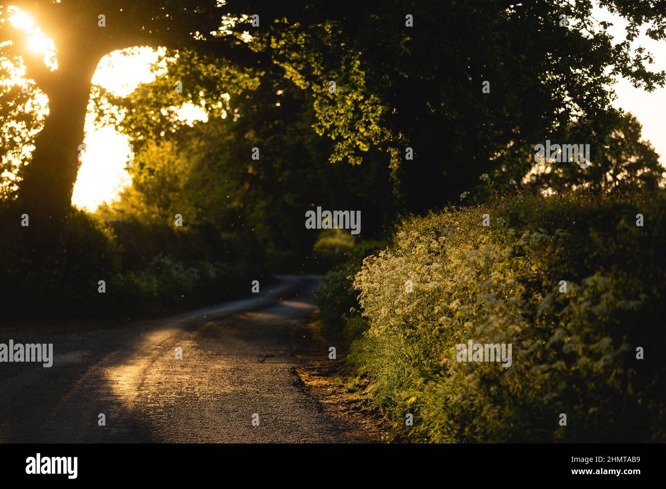 English countryside in May Stock Photo - Alamy
