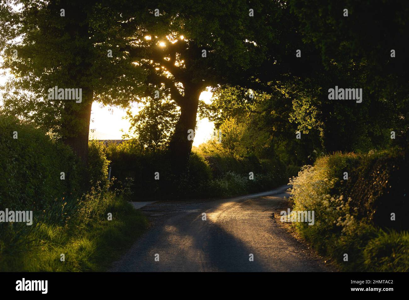 English countryside in May Stock Photo - Alamy