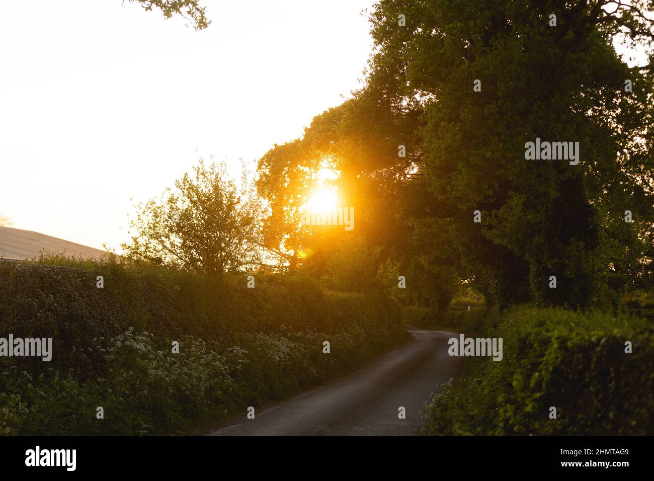 English countryside in May Stock Photo - Alamy