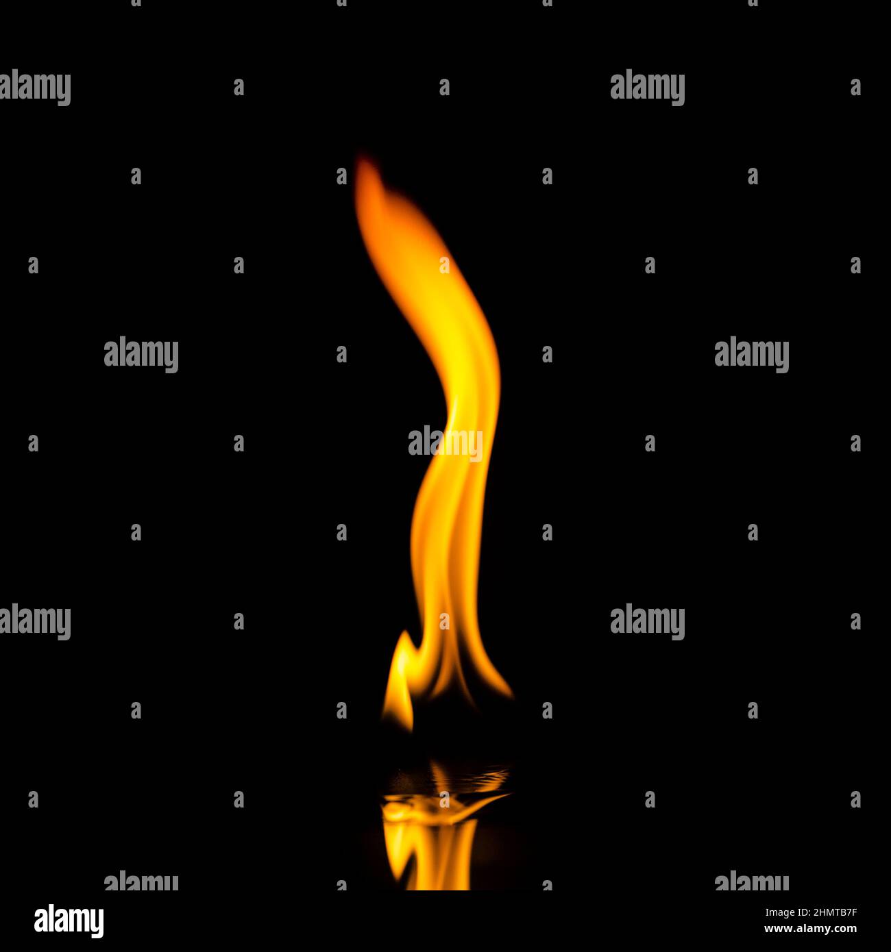 single fire flames with reflection on black background Stock Photo - Alamy