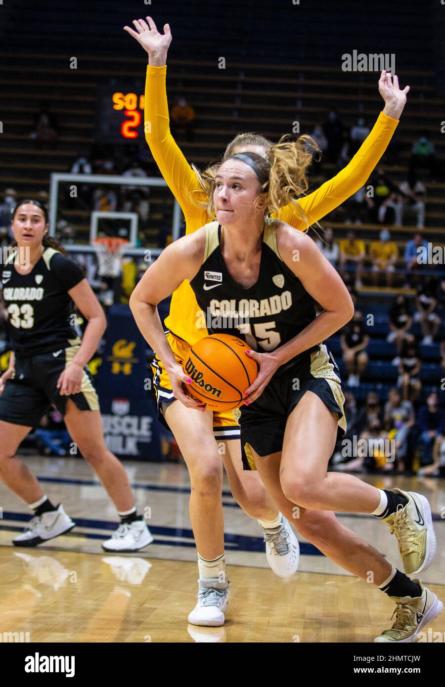 Wetta hi-res stock photography and images - Alamy