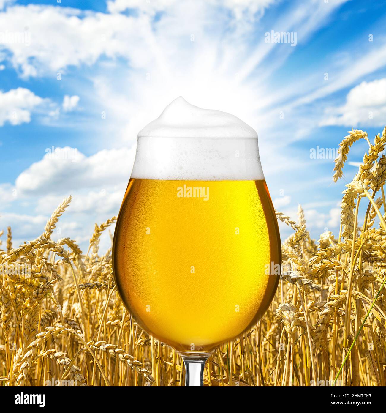 Pilsener glass hi-res stock photography and images - Alamy