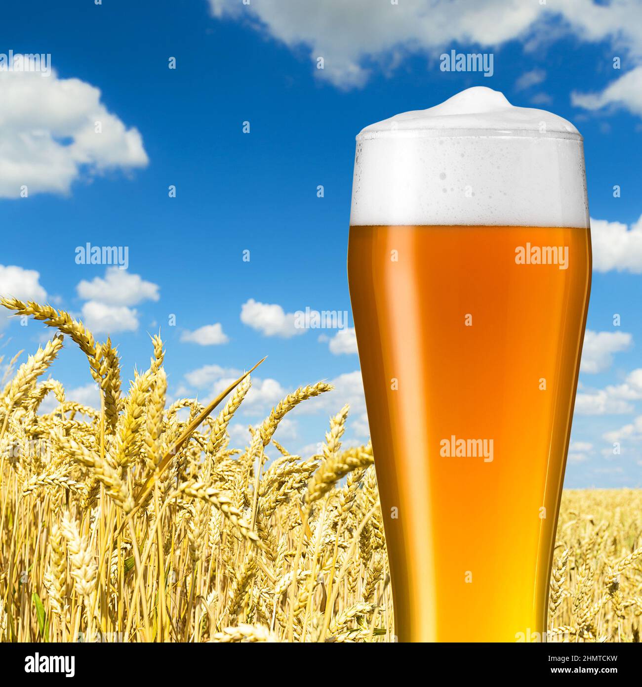 bayerisches weizenbier in einem weizenfeld Stock Photo - Alamy
