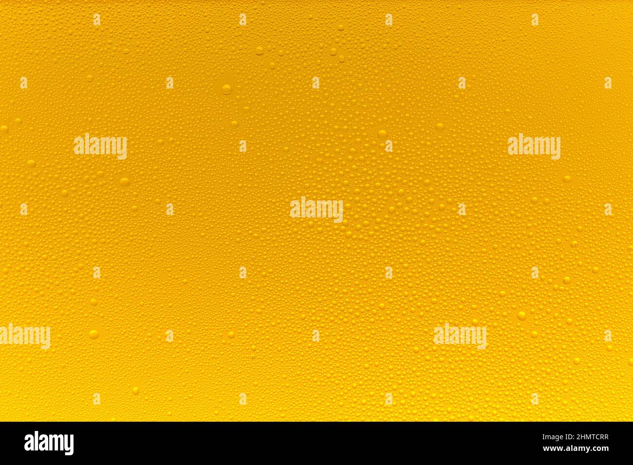 Beer with golden drops of condensation Stock Photo - Alamy