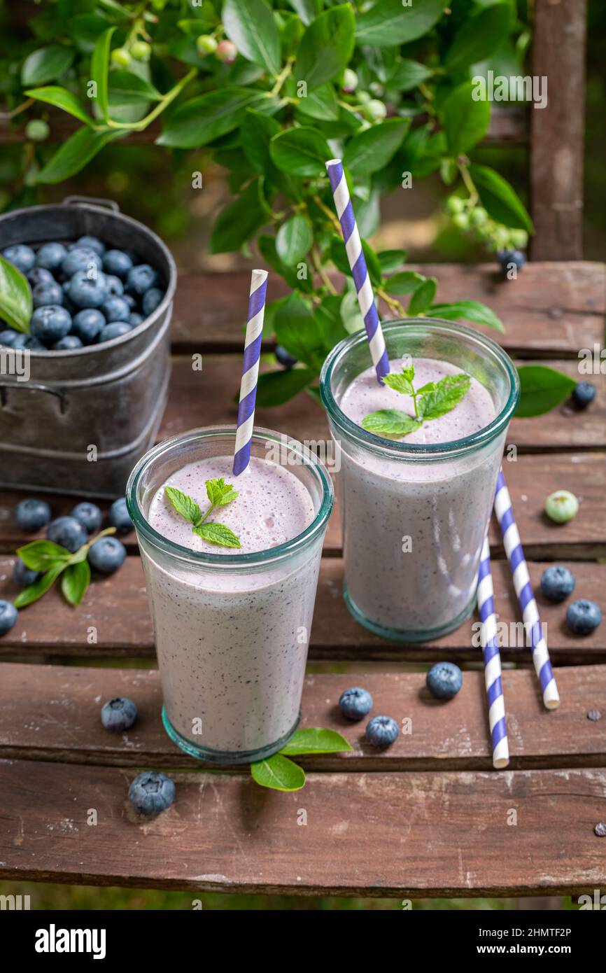 Sweet cocktail flavored with blueberries and milk. Sweet smoothie with ...