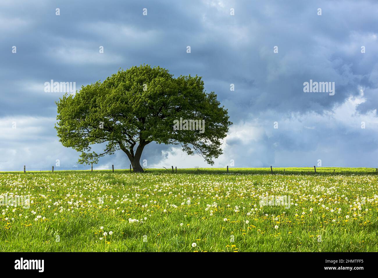 Dramatically decrease hi-res stock photography and images - Alamy
