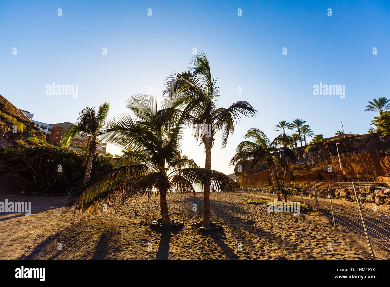 Beach in Tenerife, Canary Islands, Spain Stock Photo - Alamy