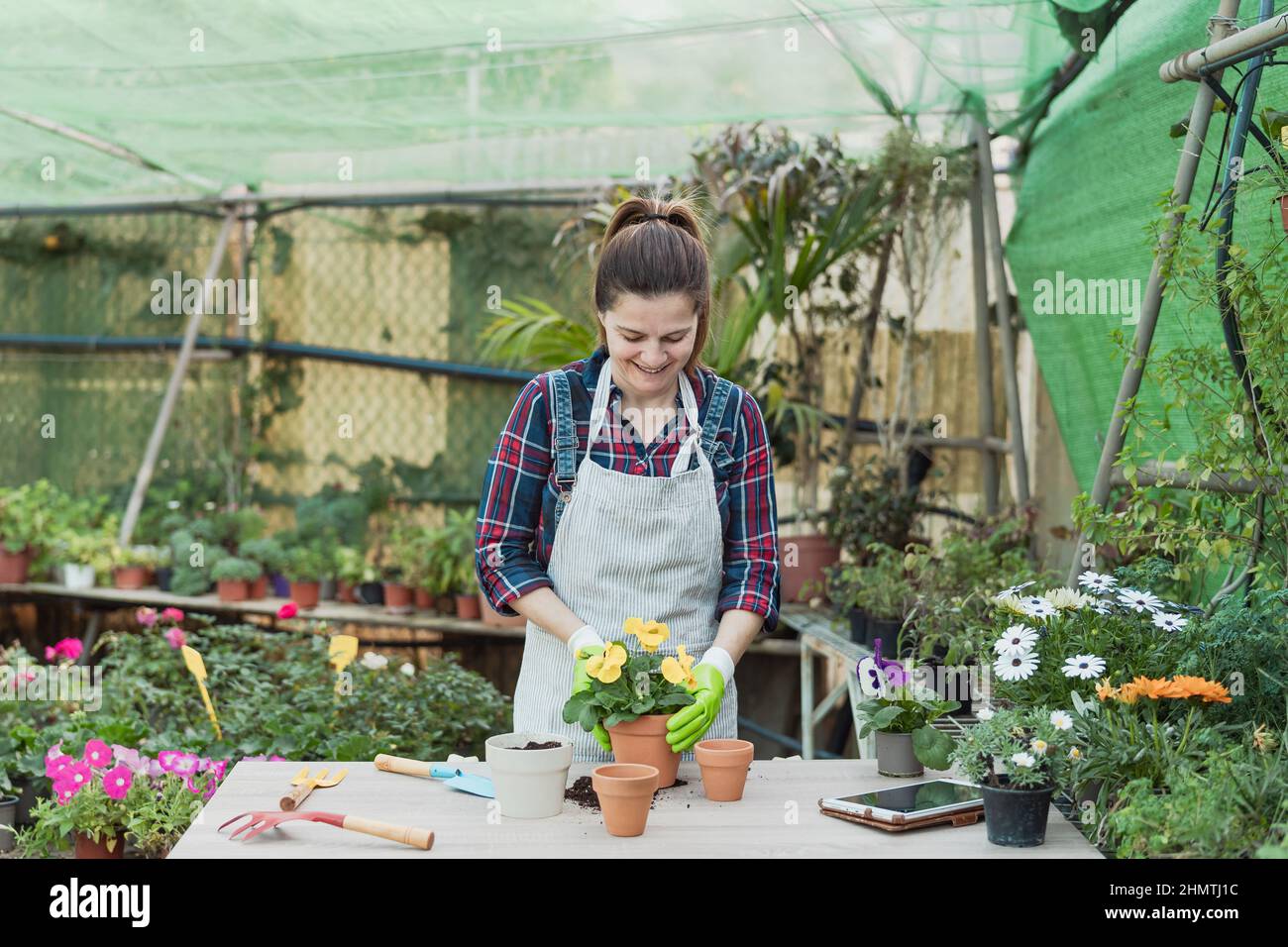 Woman gardener working in flower garden shop Stock Photo - Alamy