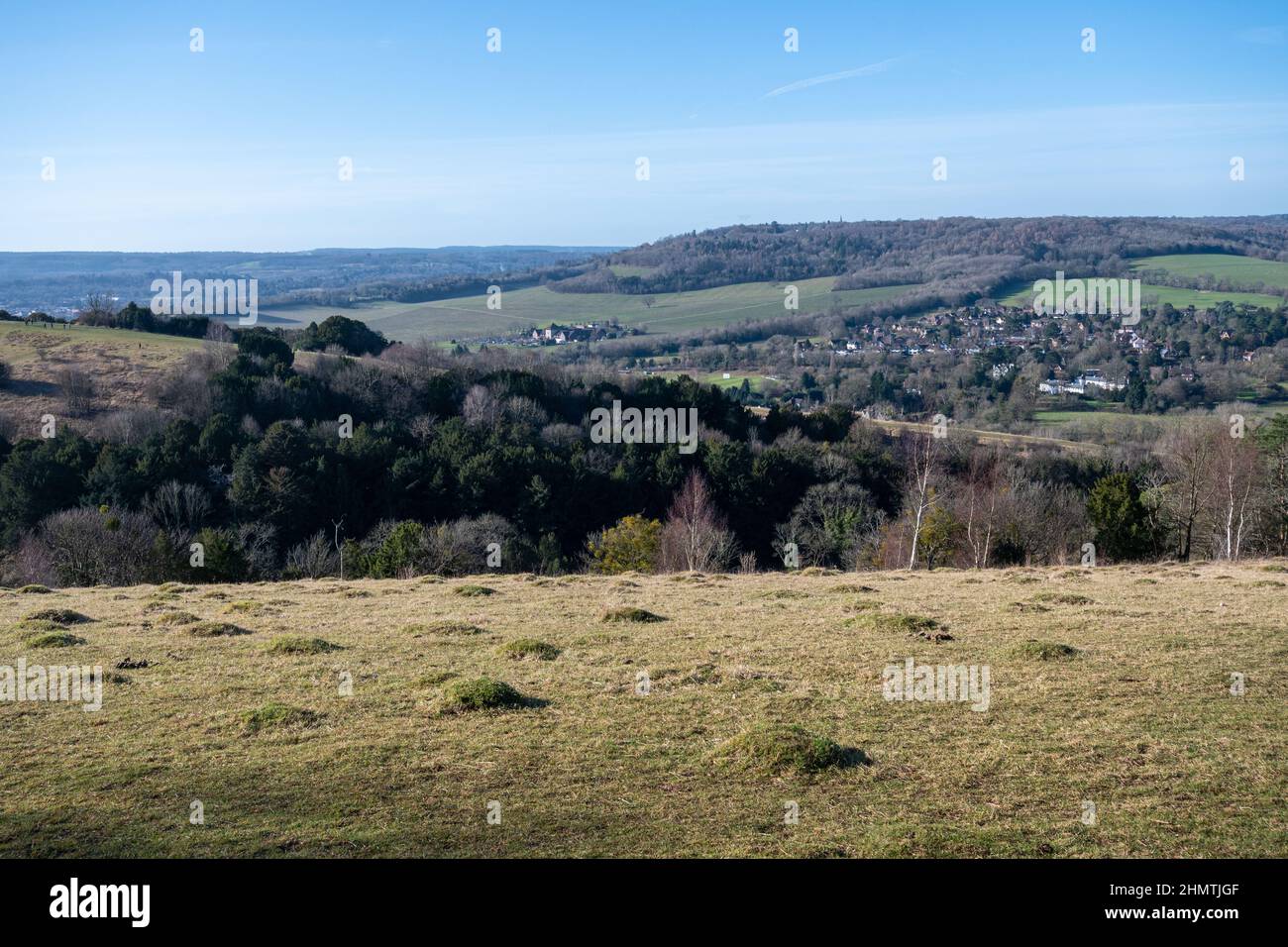 View of the scenery from Box Hill in the North Downs Area of ...