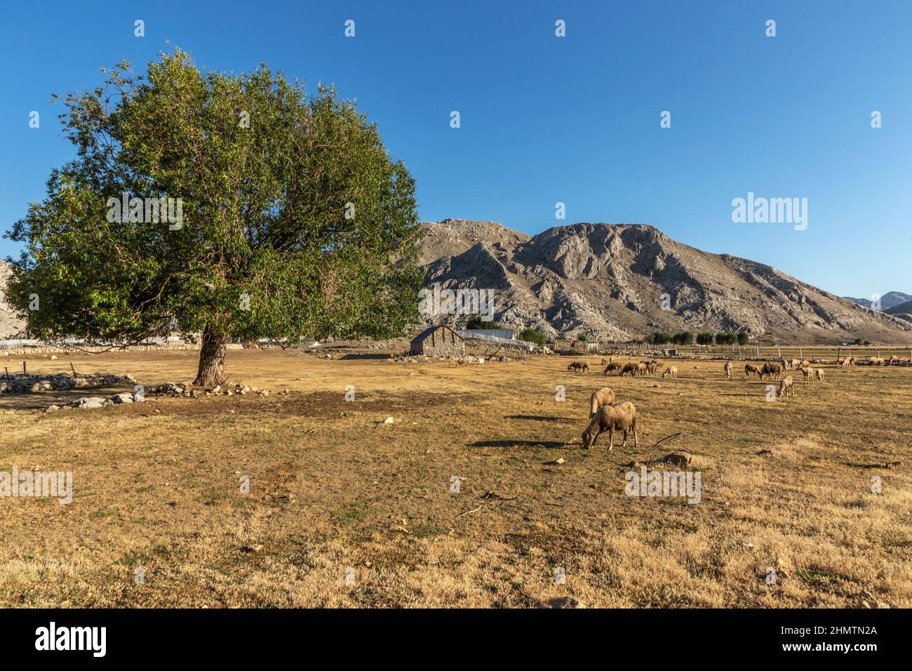A country of stones, Taşeli Plateau. Taşeli Plateau is a karstic ...