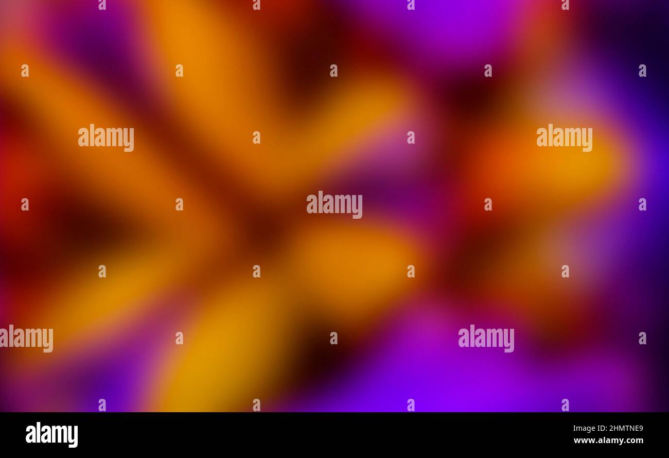 Colorful flower background of beautiful Purple and Orange colors ...