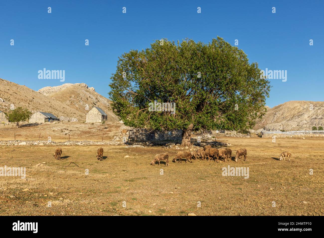 A country of stones, Taşeli Plateau. Taşeli Plateau is a karstic ...