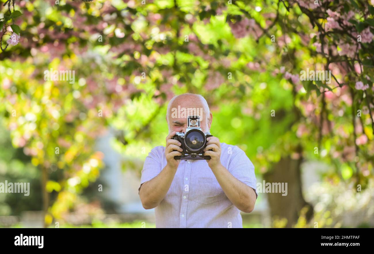 photographer taking photos of famous cherry blossoms. spring season ...