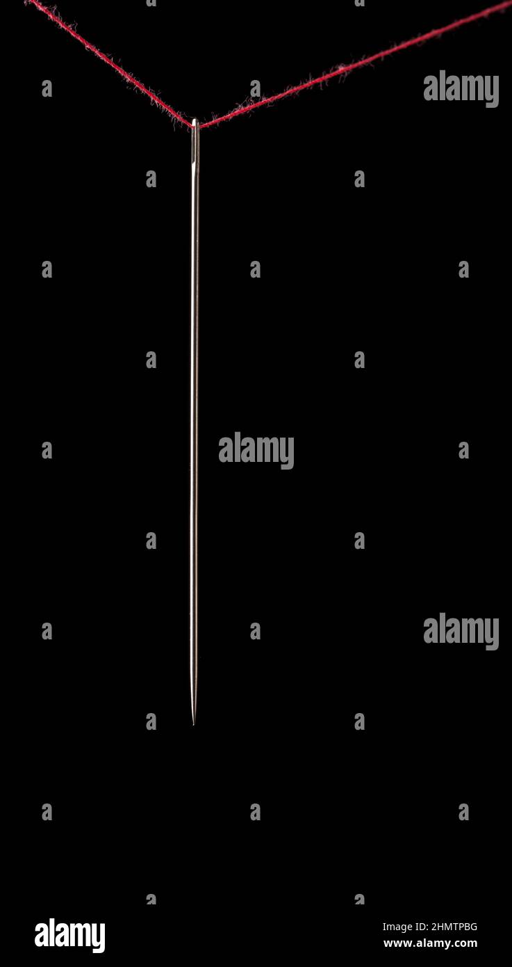 needle hanging on a red thread, isolated on black background, closeup ...