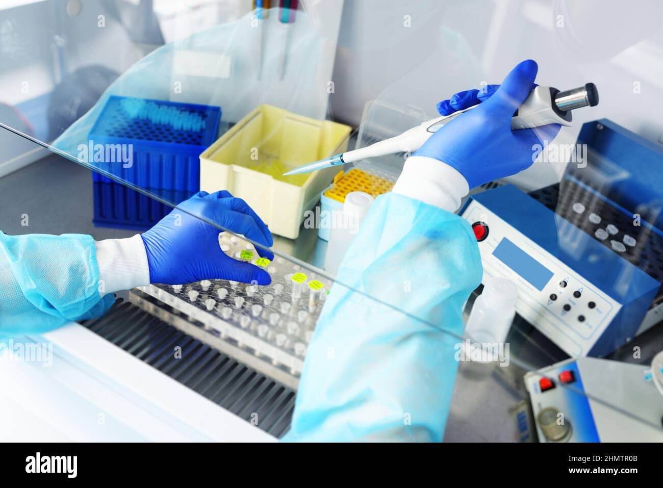 medical officer of the PCR laboratory conducts a study holding a ...