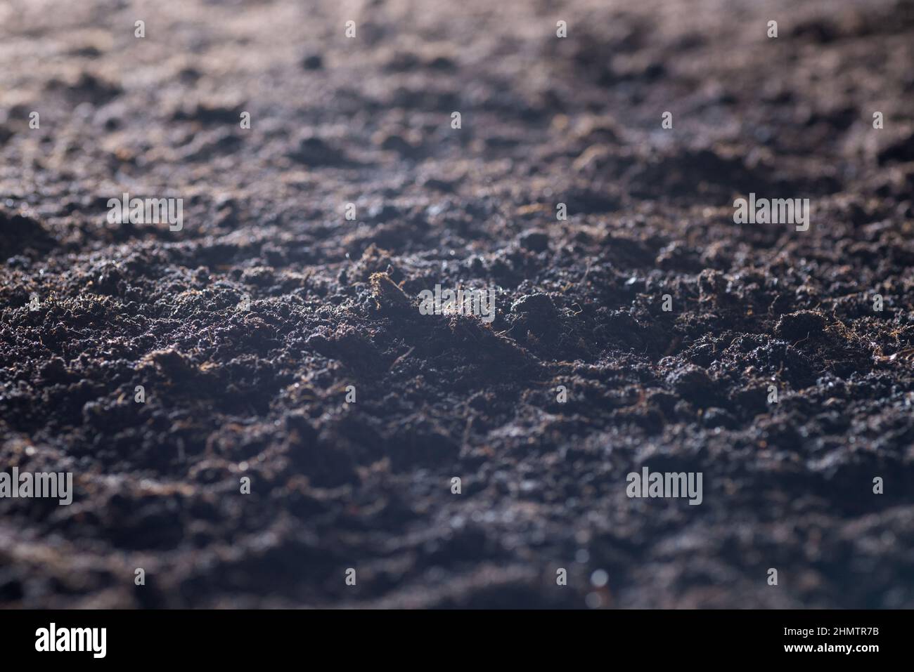 Clean soil for cultivation. The potting soil or peat is suitable for ...