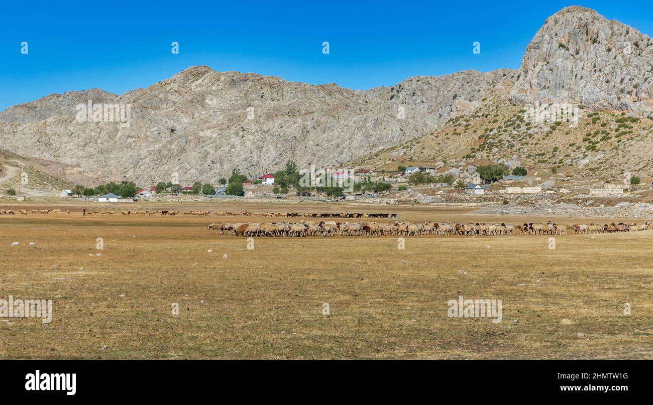 A country of stones, Taşeli Plateau. Taşeli Plateau is a karstic ...