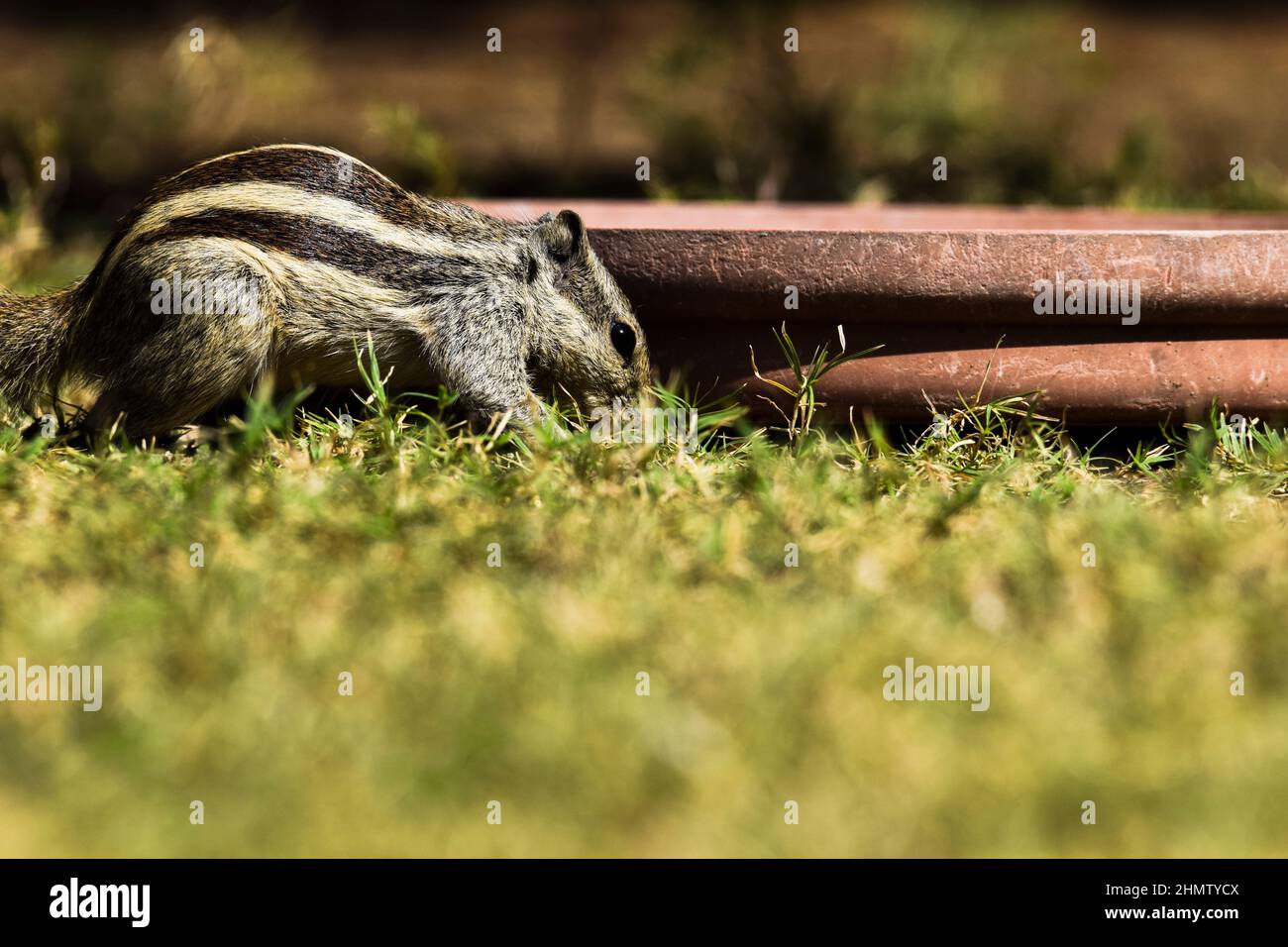 Khiskoli hi-res stock photography and images - Alamy