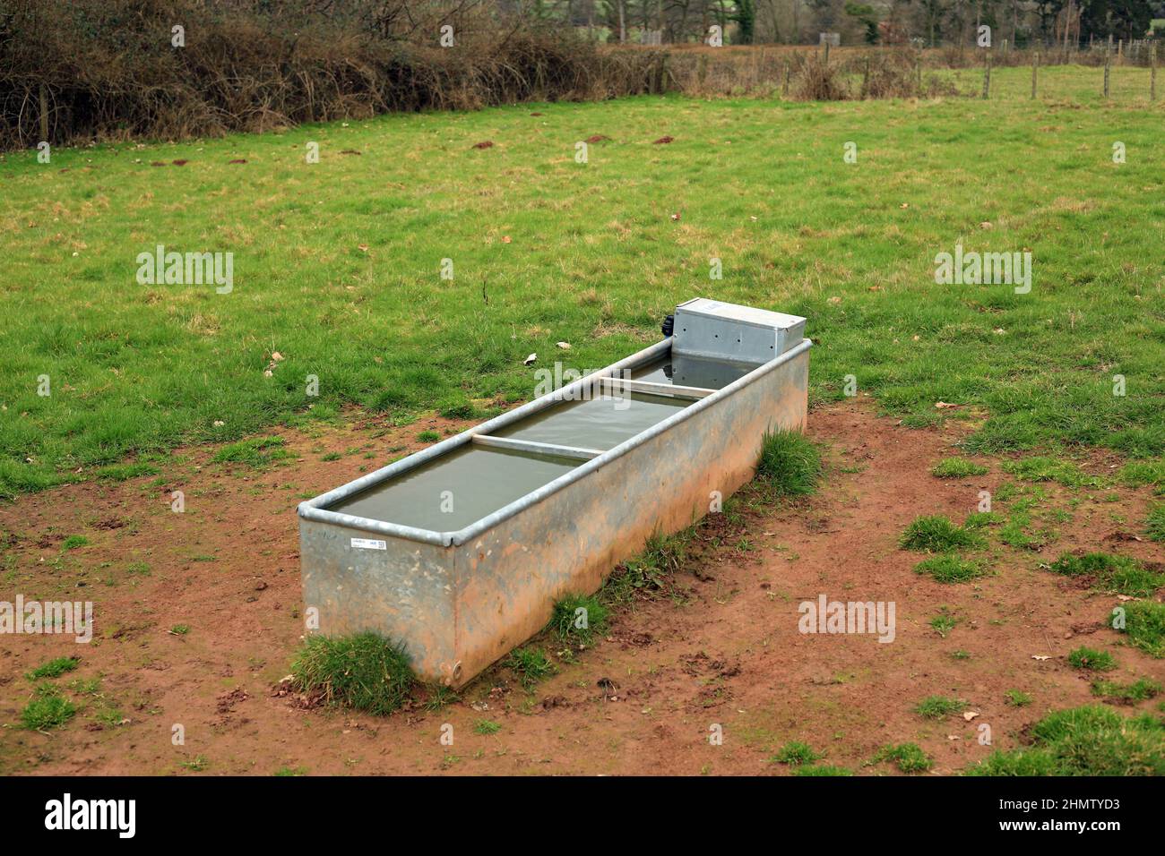 Farm water trough hi-res stock photography and images - Alamy
