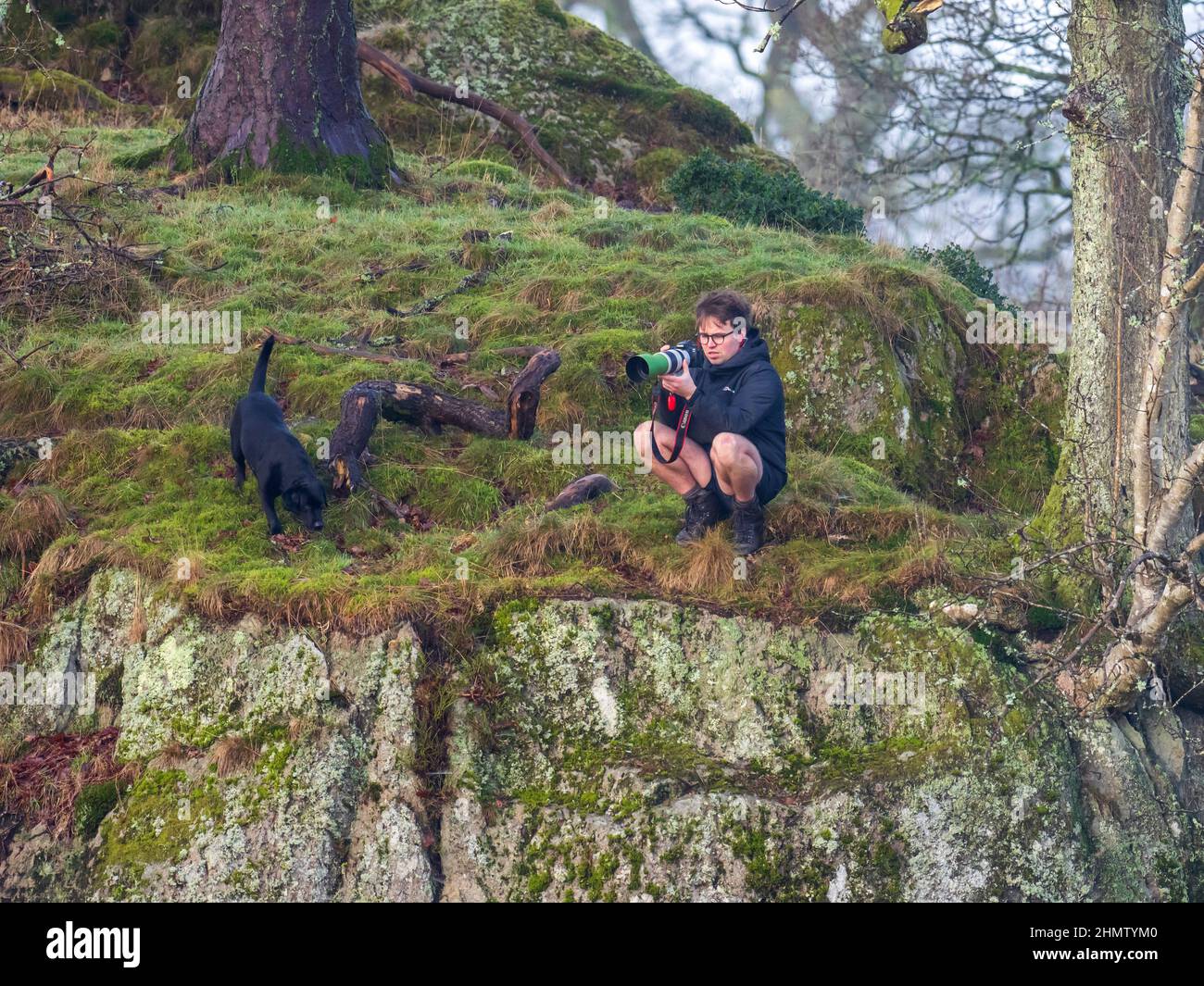 A wildlife photographer and his dog above the shores of Lake Windermere ...