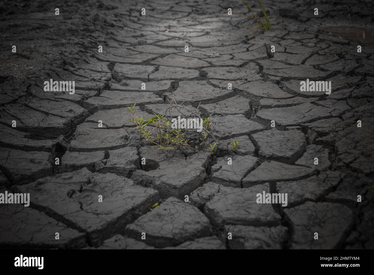 Land art human hi-res stock photography and images - Alamy