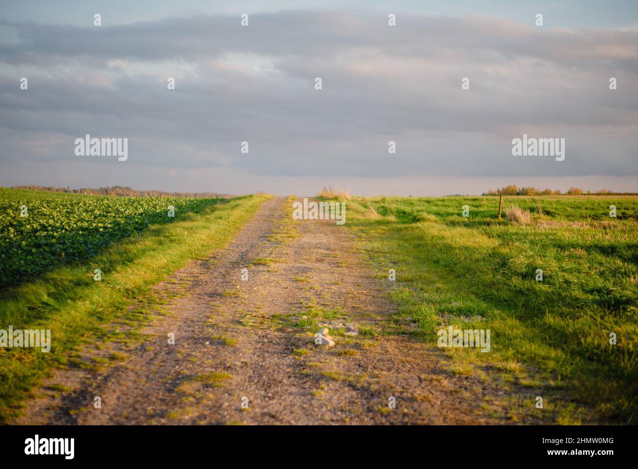 Road to home hi-res stock photography and images - Alamy