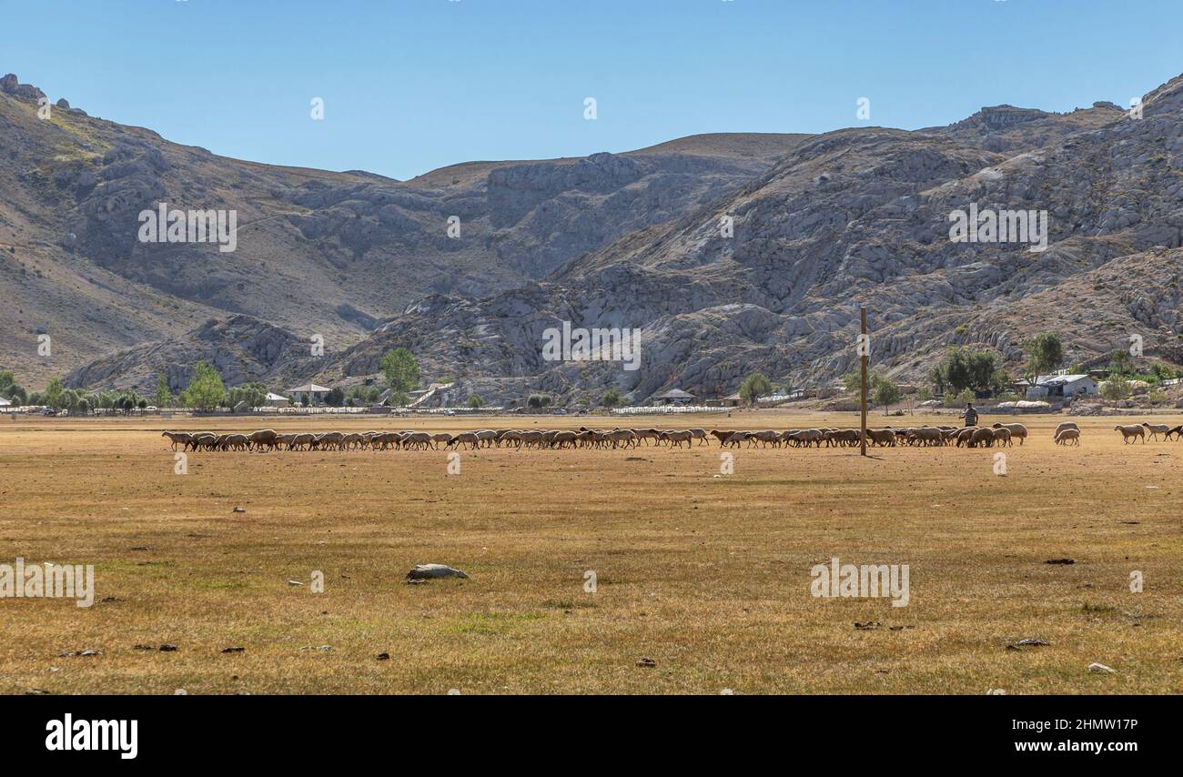 A country of stones, Taşeli Plateau. Taşeli Plateau is a karstic ...